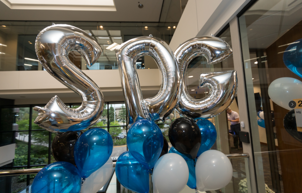 Why SDG? - Solution Design Group